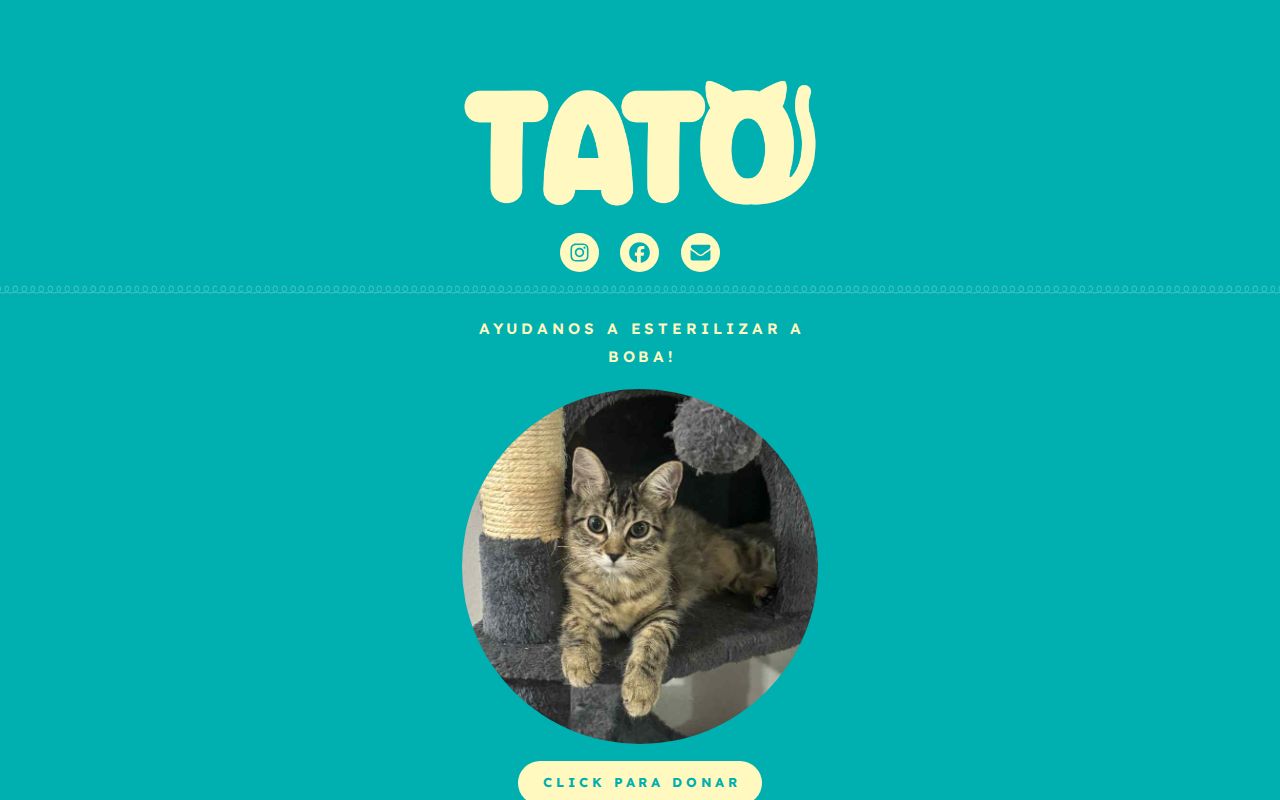 TATO for Felines